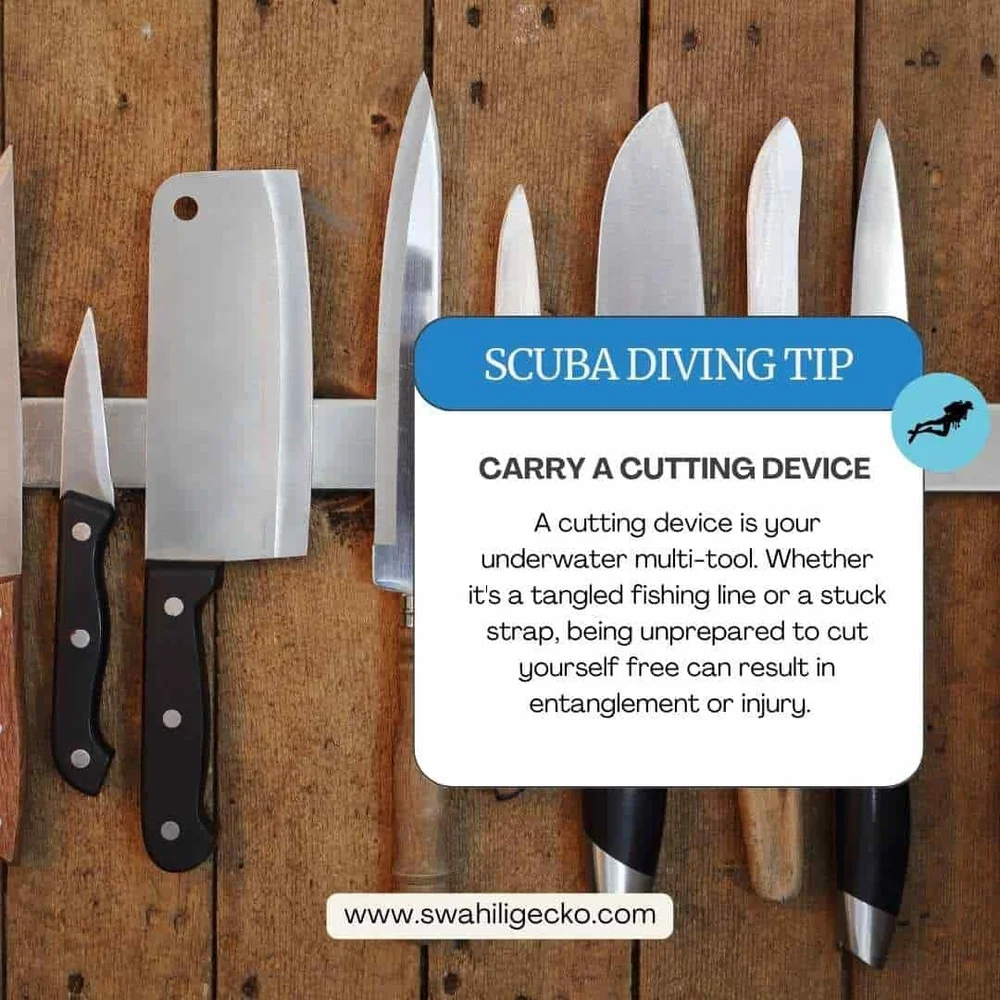 23 Best Scuba Diving Tips For Beginners: Ultimate Guide to Scuba Diving ...