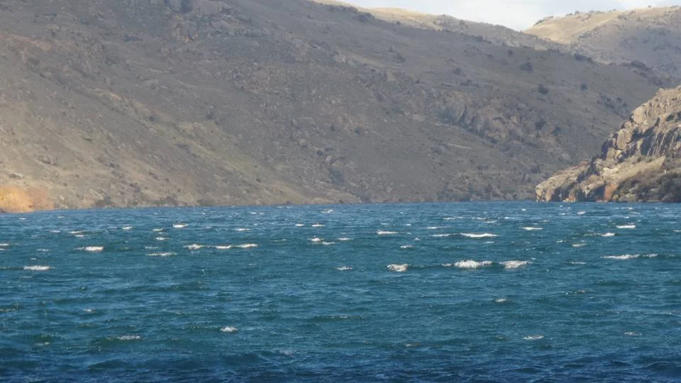 Clutha River: From Source to Sea — Alice Bowers
