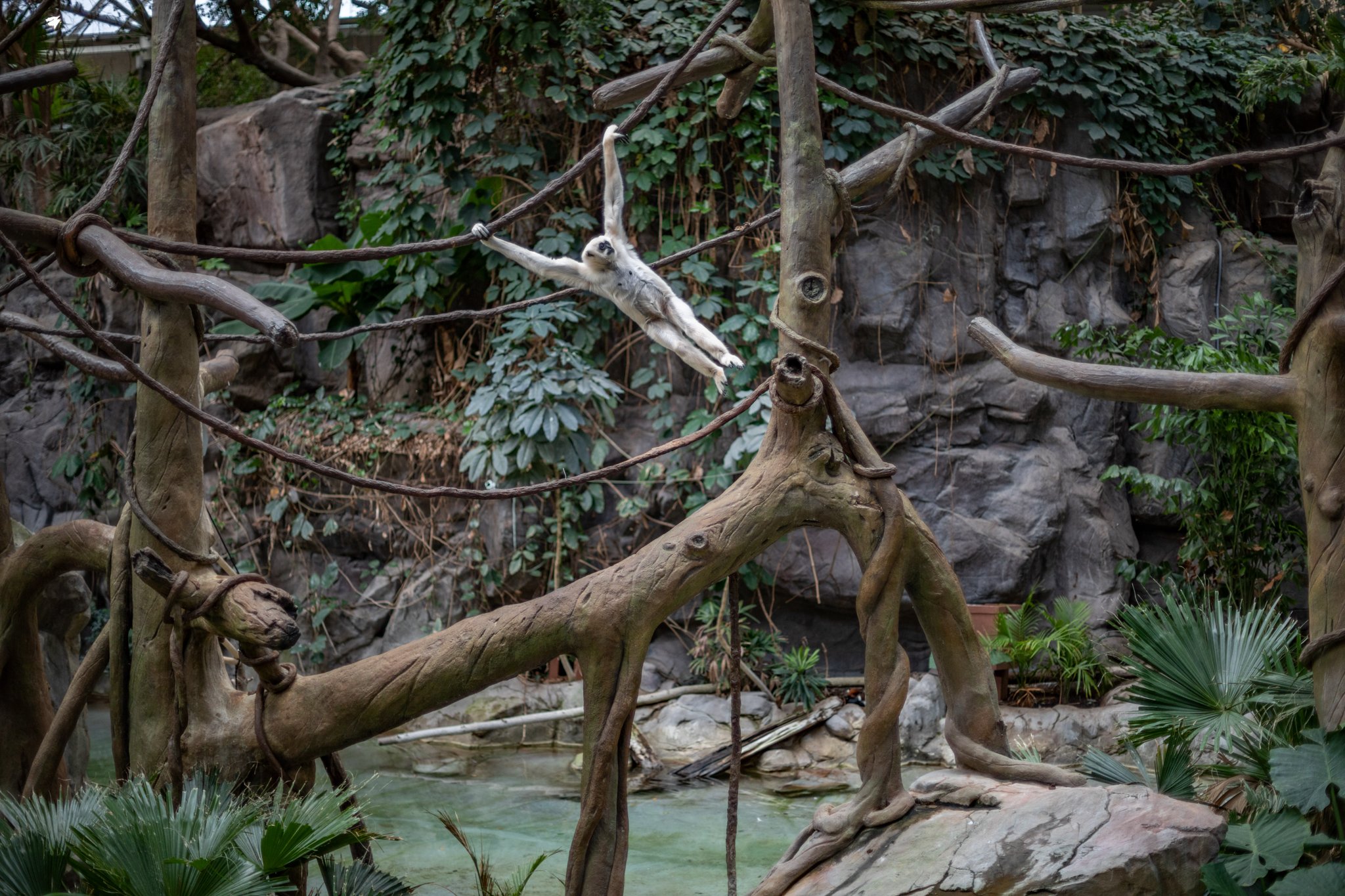 Minnesota Zoo — Nathaniel Barber