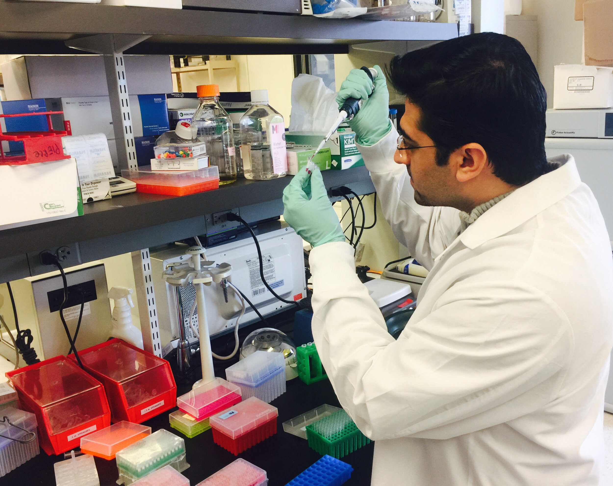 Knights Templar Eye Foundation