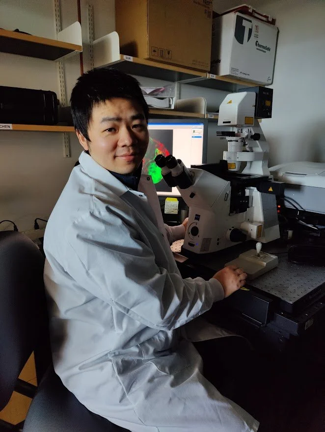 Dr. Tianxi Wang from Boston Children’s Hospital, Harvard Medical School Awarded $70,000 Knights ...