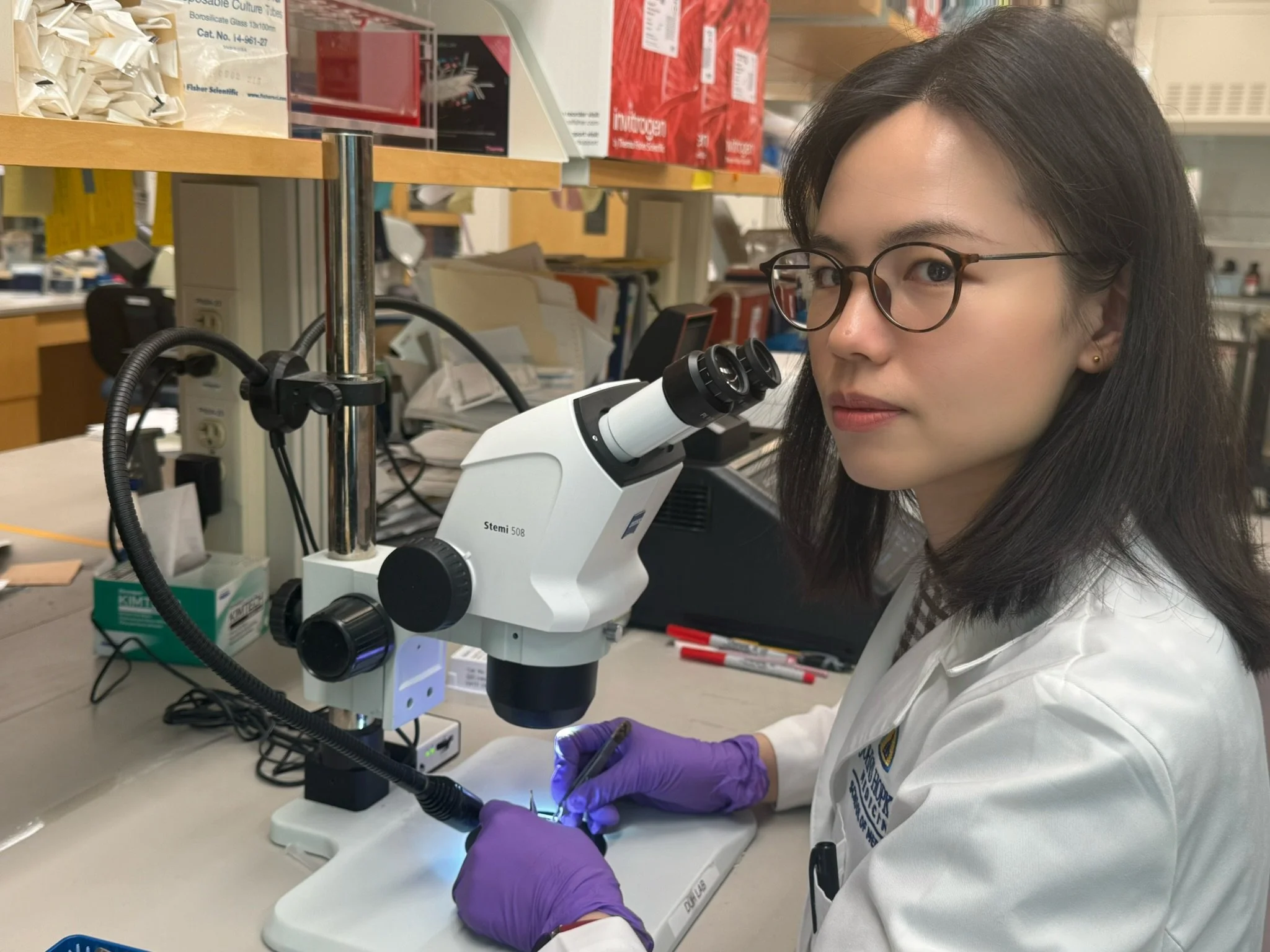 Dr. Yingxue Cao from Johns Hopkins University Awarded $90,000 Knights ...