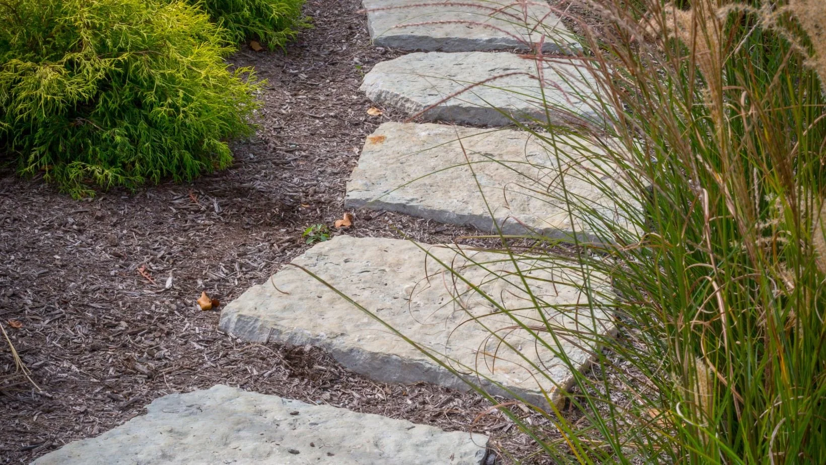 Seasonal Landscaping Ideas for 2026 — Seiler's Landscaping - Cincinnati