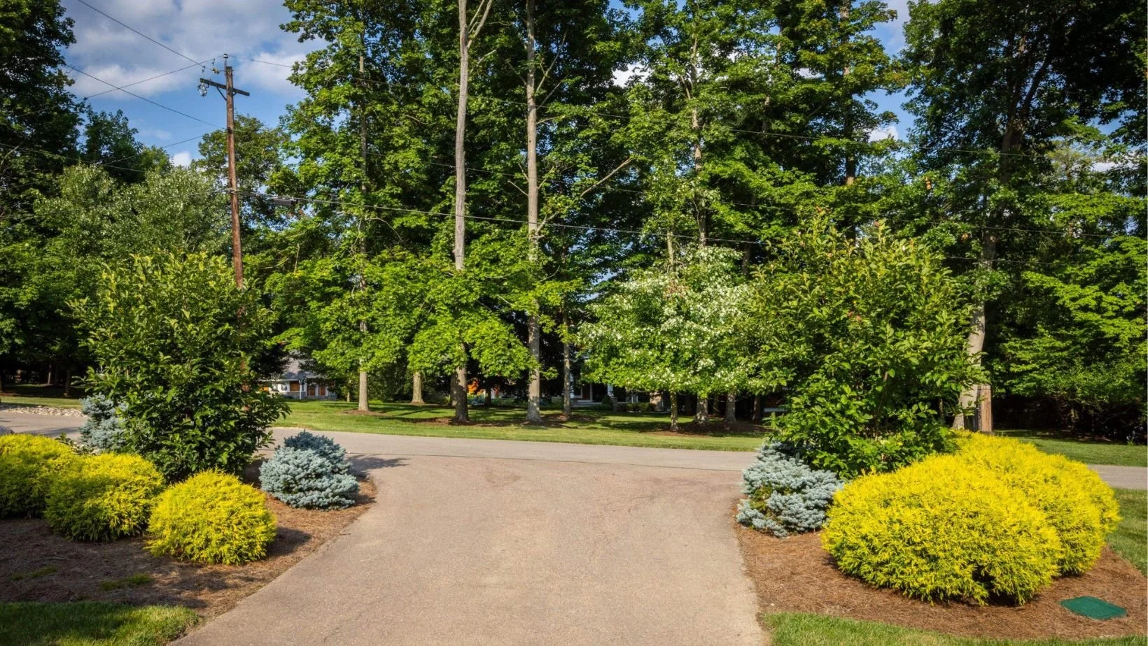 Curbside: End of Driveway Ideas for Landscaping - Seiler’s Landscaping ...