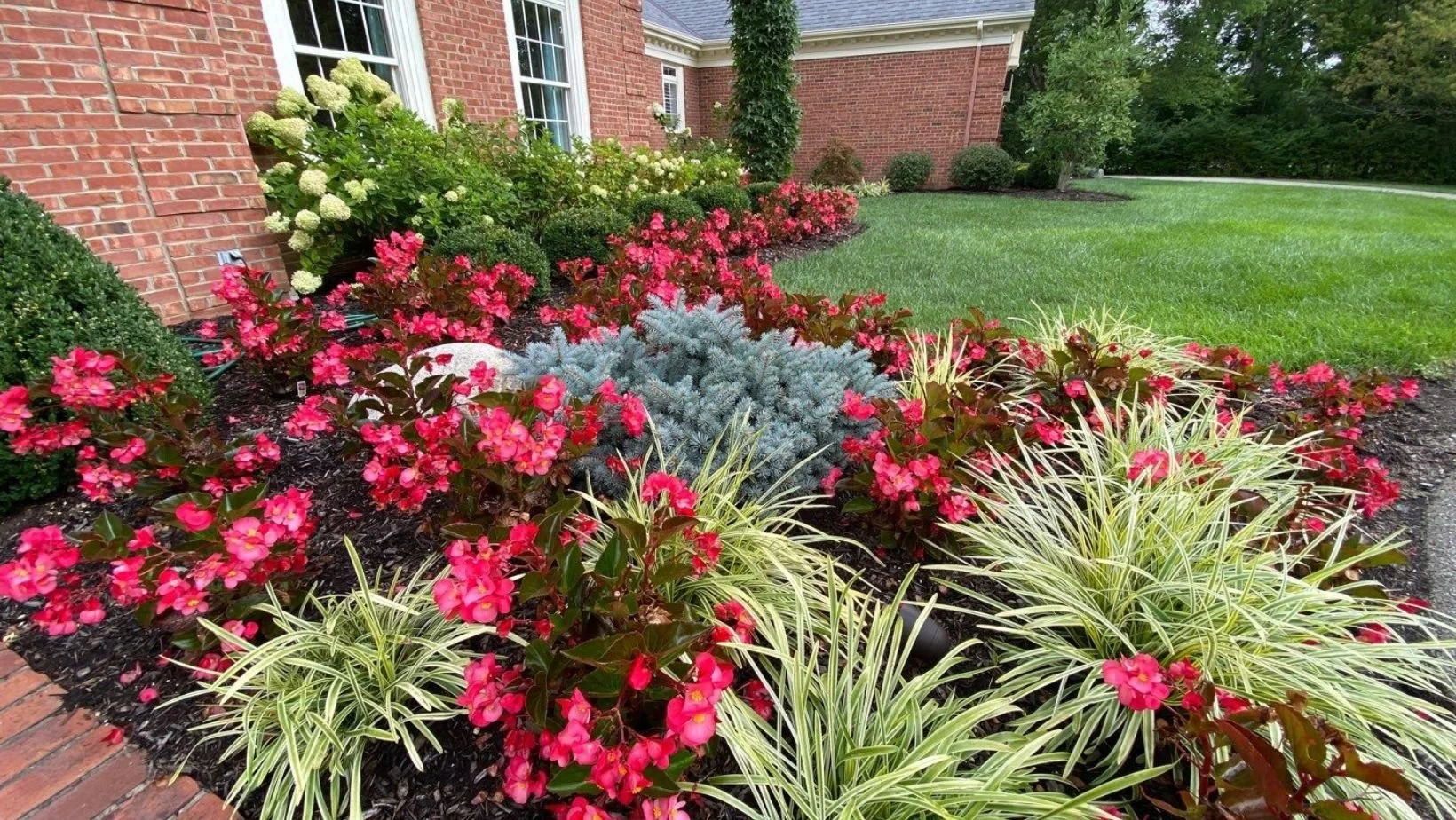 What Is Pruning a Plant? Healthy Growth Guide - Seiler's Landscaping ...