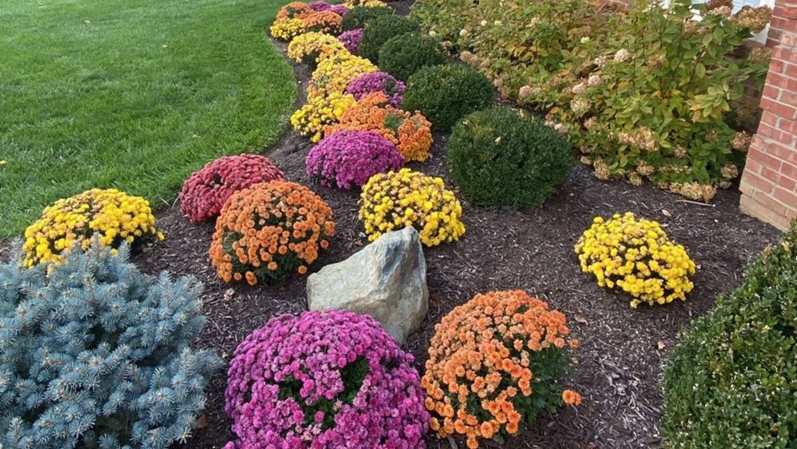 The Definitive Guide to Different Types of Mulch | Seiler’s Landscaping ...