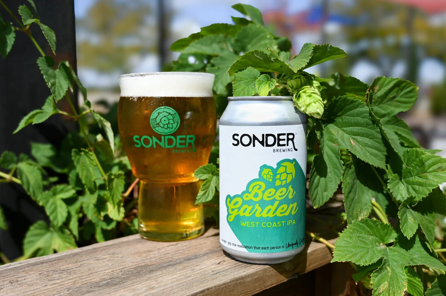 Sonder Brewing — Green Series