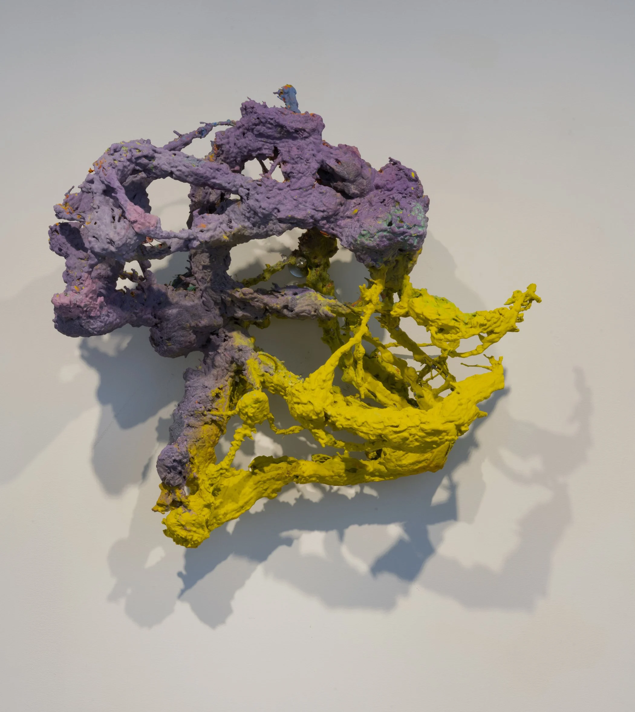 The 2021 — James Biederman