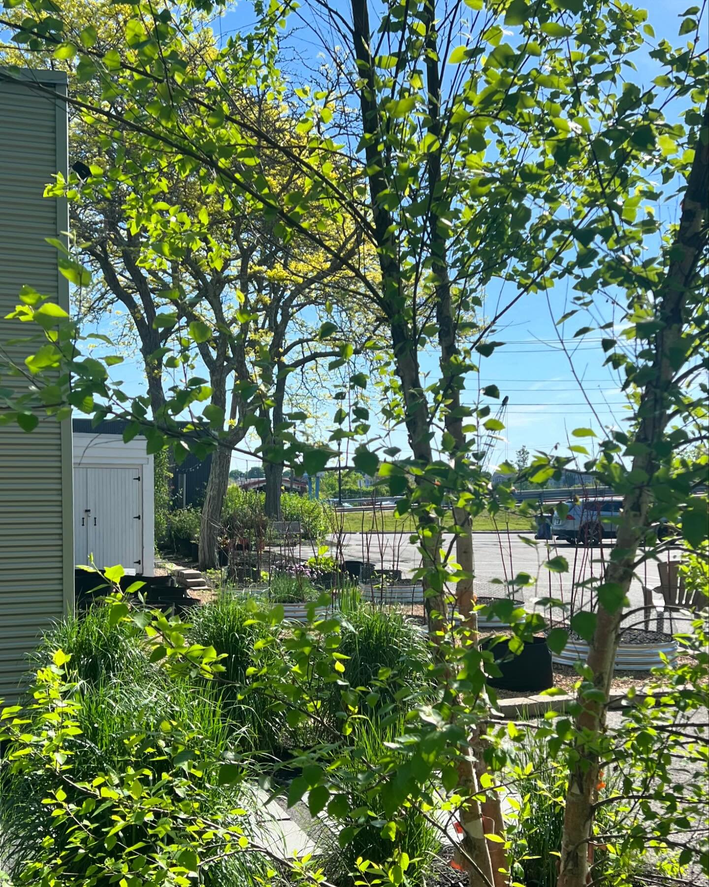 News — Landworks Studio, Inc.