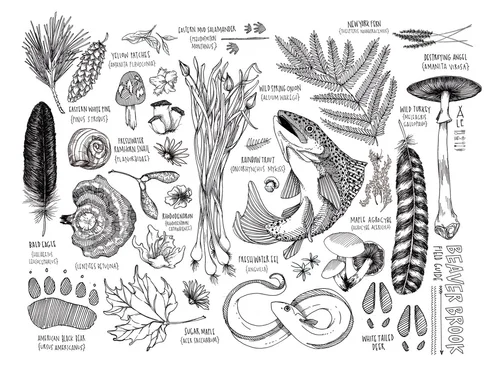 Resources — THE OUTSIDE INSTITUTE