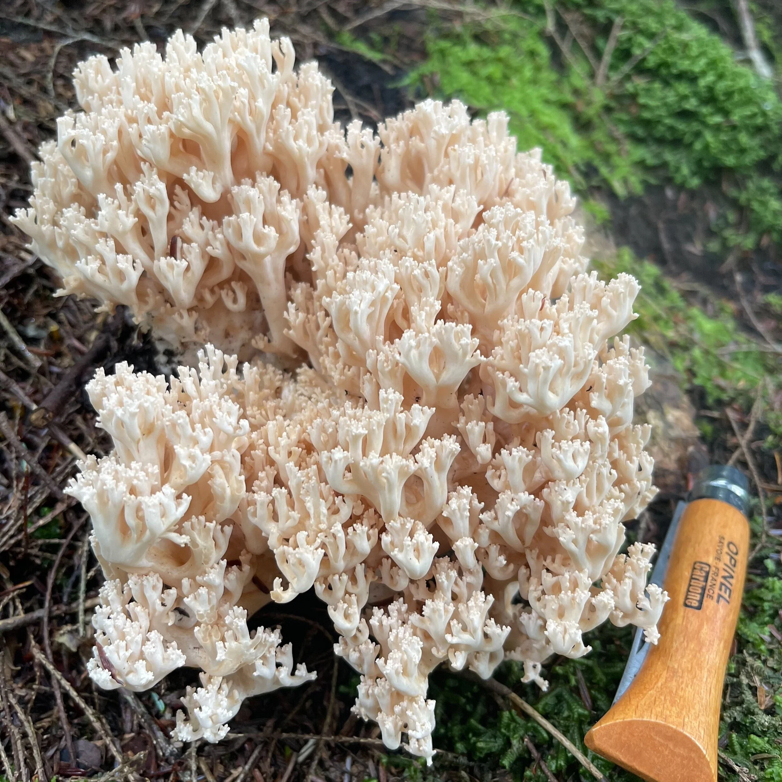 Events — THE OUTSIDE INSTITUTE