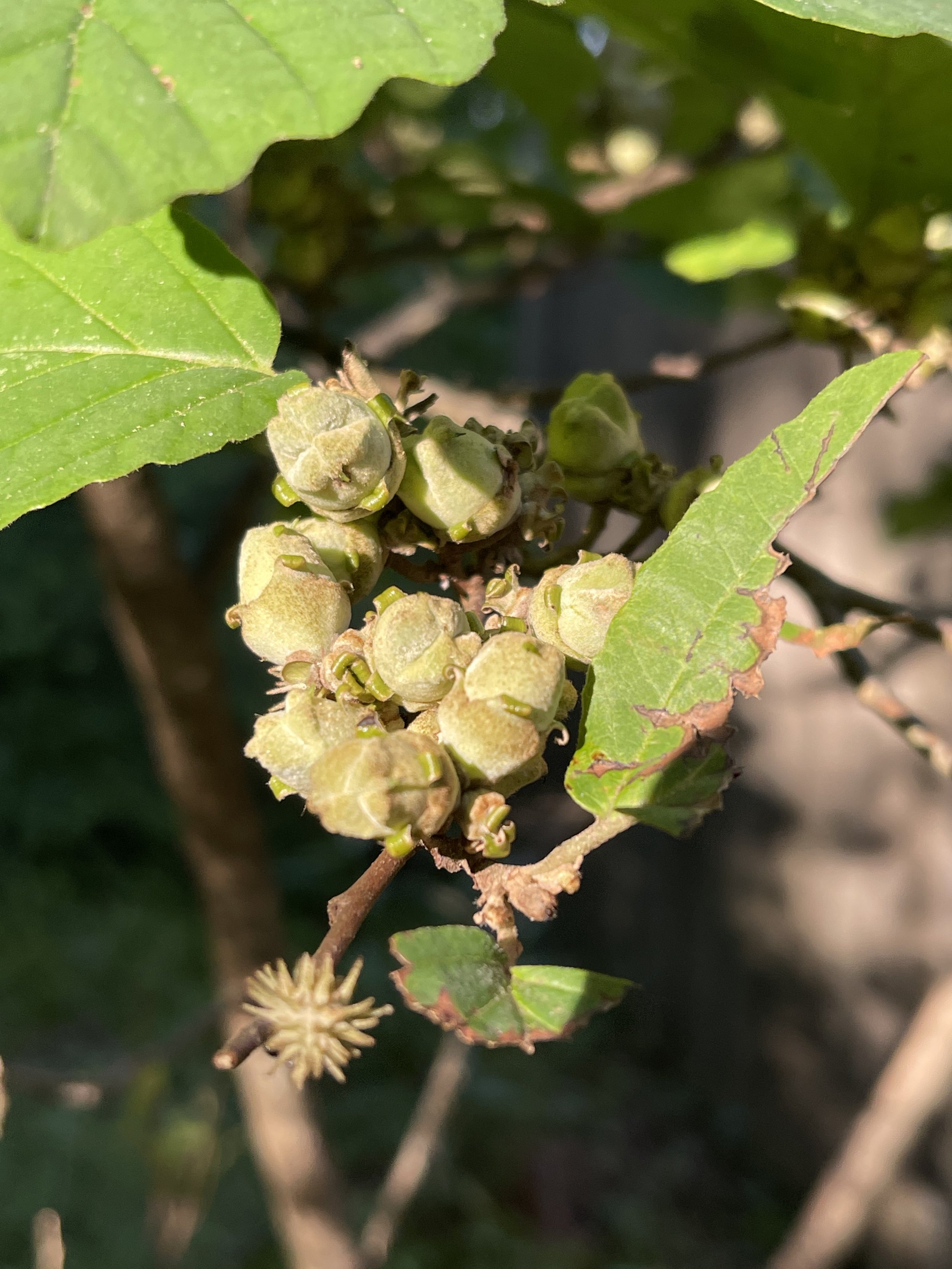 Events — THE OUTSIDE INSTITUTE