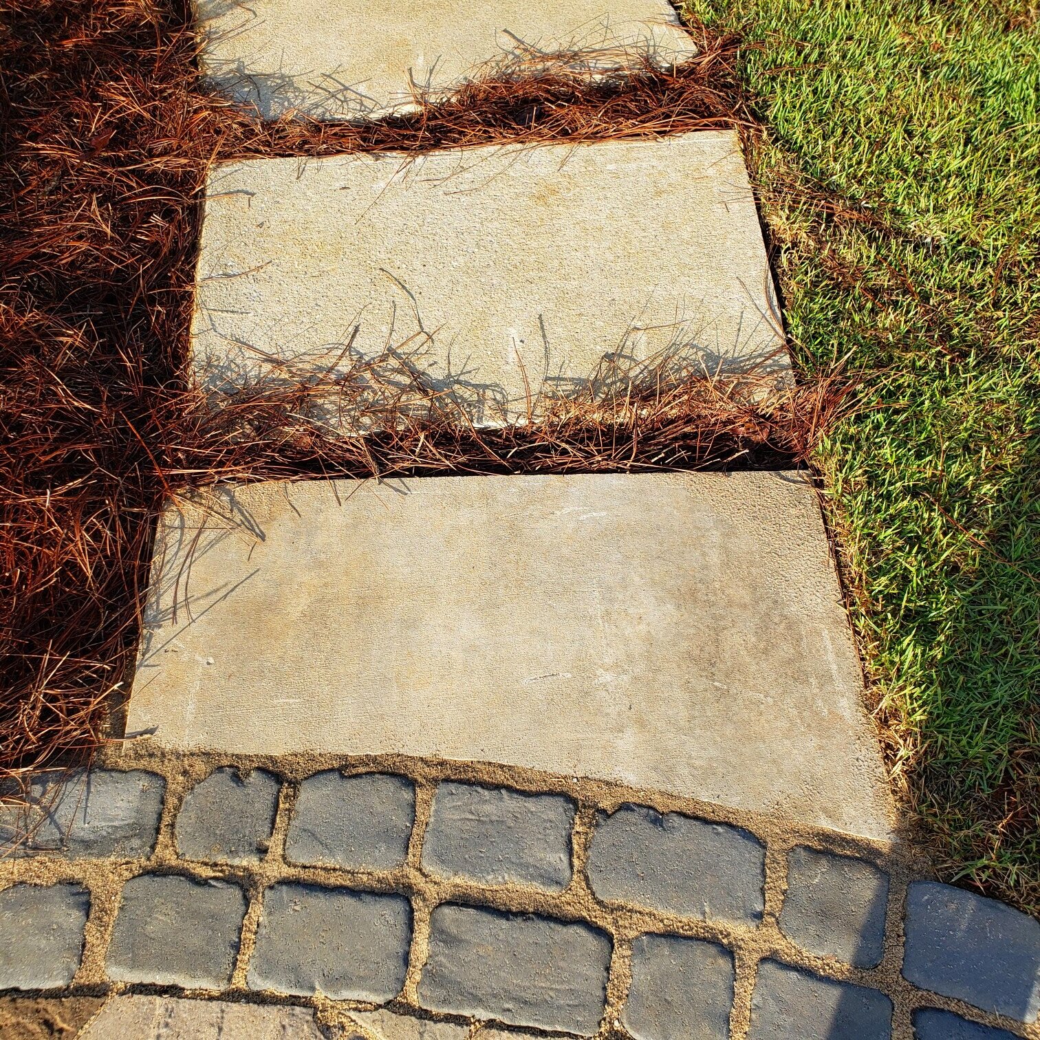 Wyatt Farms Nursery, Greenhouse, Residential & Commercial Landscaper ...