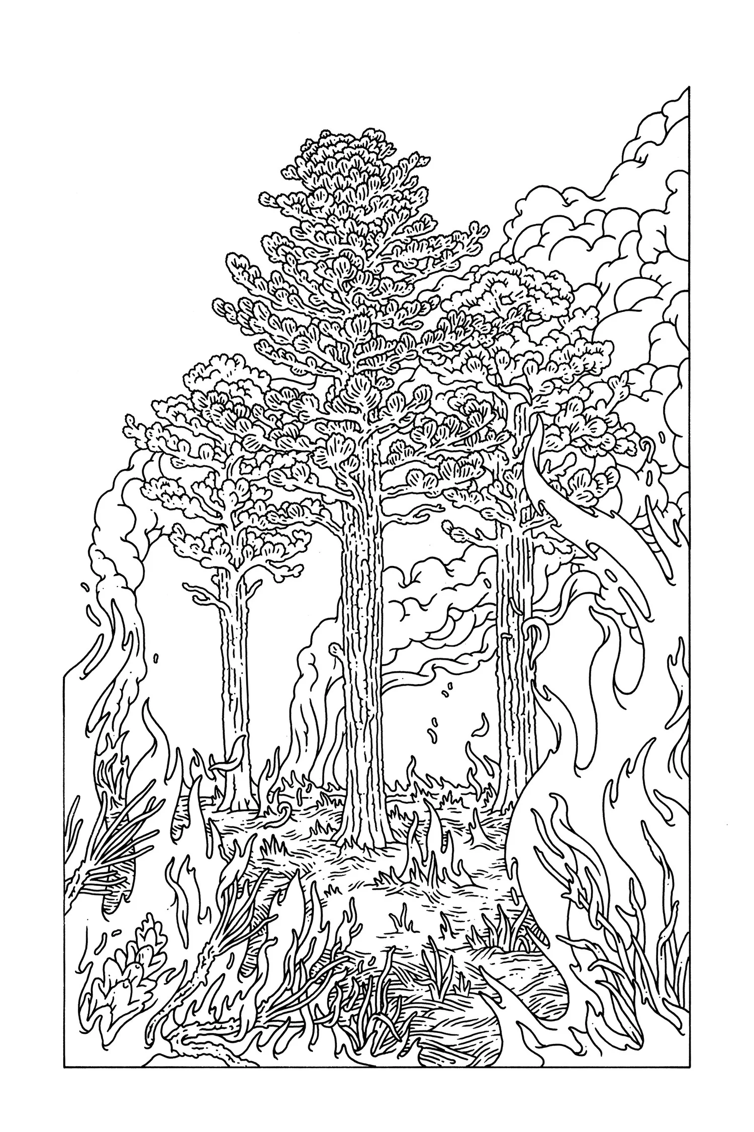 Illustration — Eric Nyquist