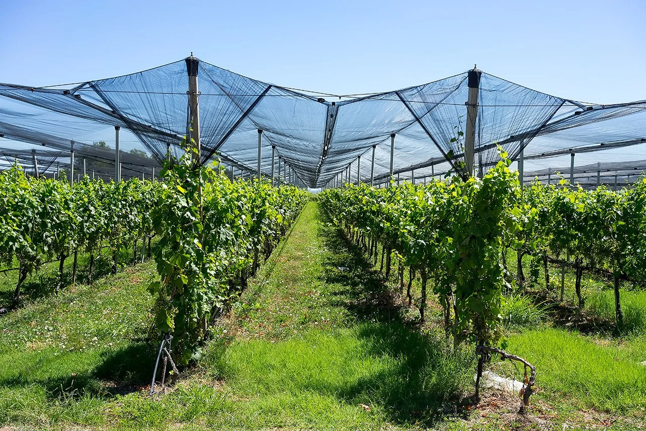 Technology and Products — Master Plastics
