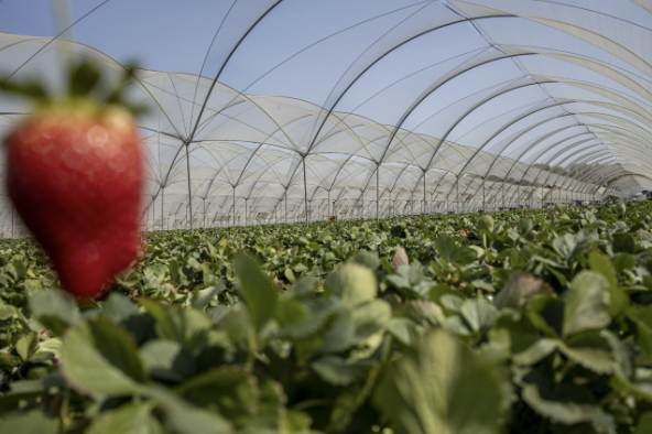 About Us — Master Plastics