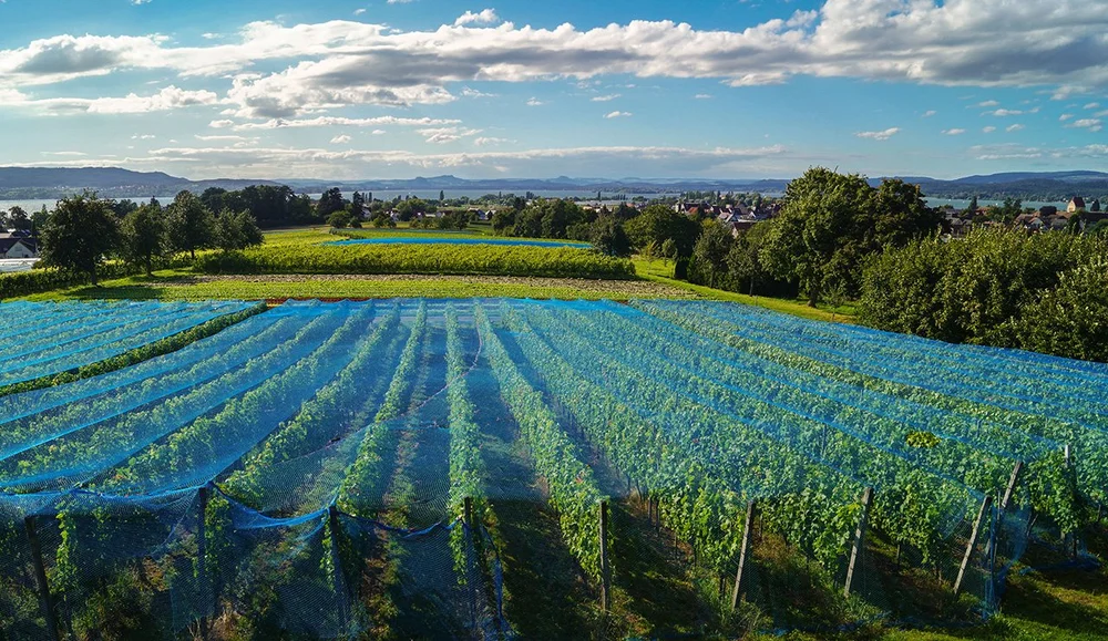 About Us — Master Plastics