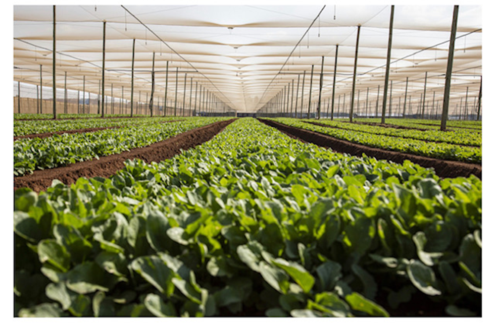 About Us — Master Plastics