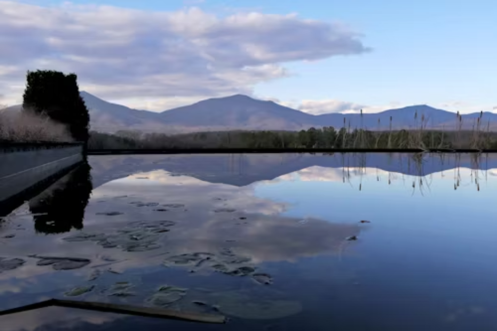 The Origin and Causes Of Trauma, Part One: Are Humans Evil? — Suzanne ...