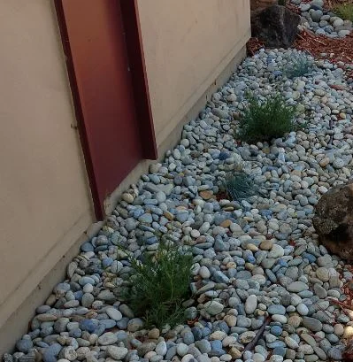 Fire Safe Landscaping — South Bay Green Gardens