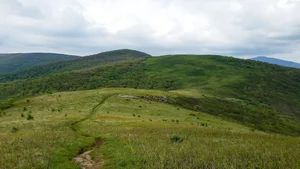 Roan Highlands Backpacking Guide — Into the Backcountry