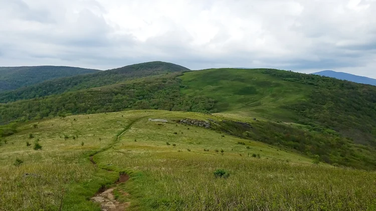 Roan Highlands Backpacking Guide — Into the Backcountry