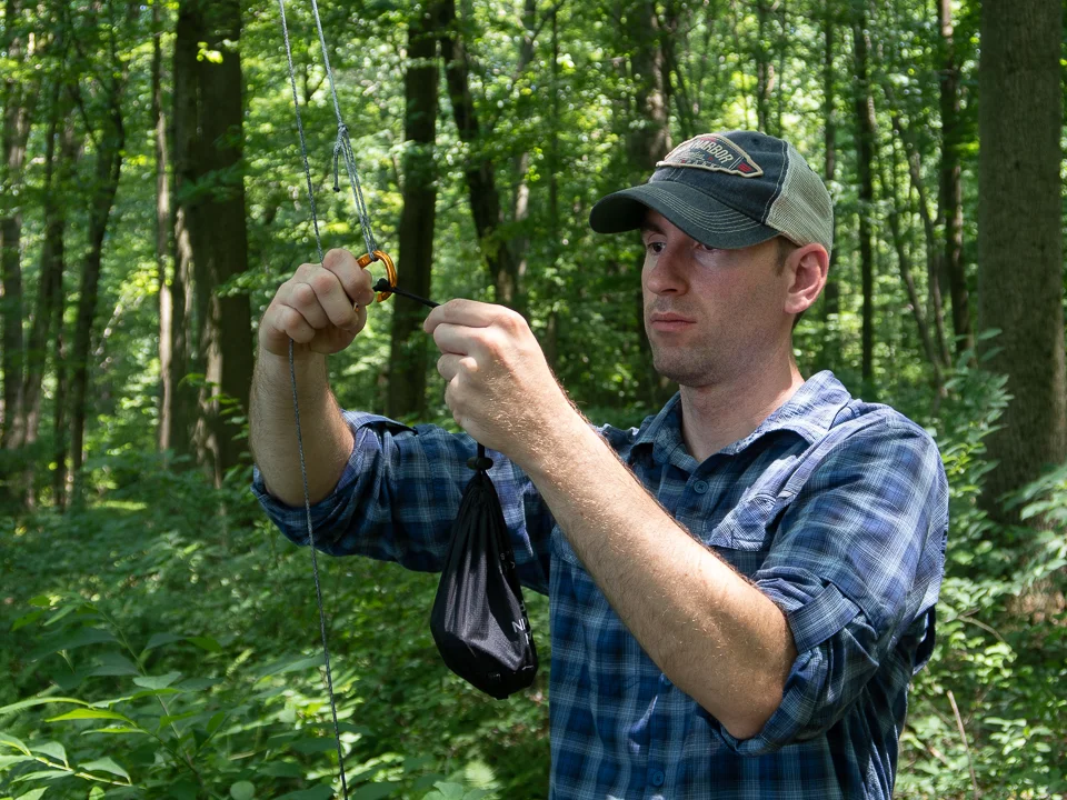 How to Hang a Bear Bag: The Right Way — Into the Backcountry