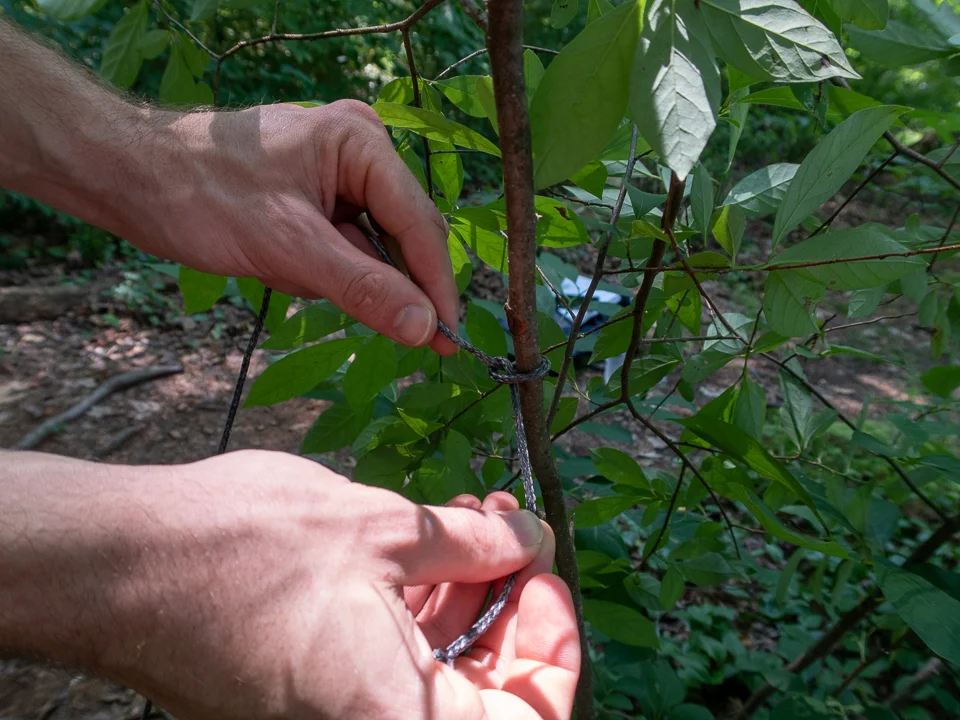 How to Hang a Bear Bag: The Right Way — Into the Backcountry