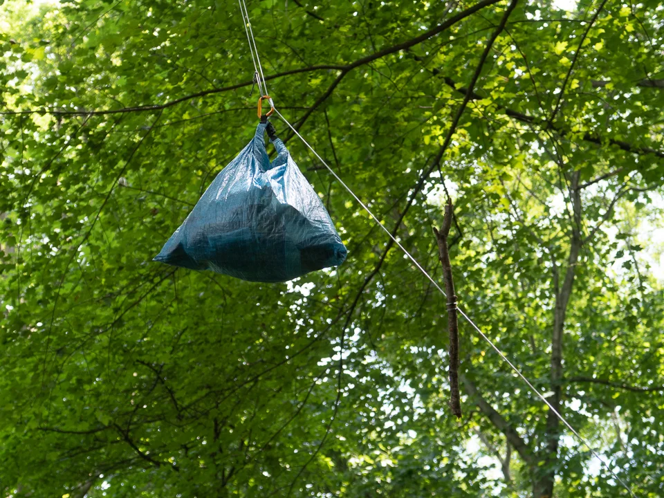 How to Hang a Bear Bag: The Right Way — Into the Backcountry