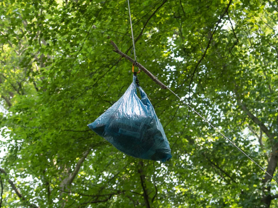 How to Hang a Bear Bag: The Right Way — Into the Backcountry