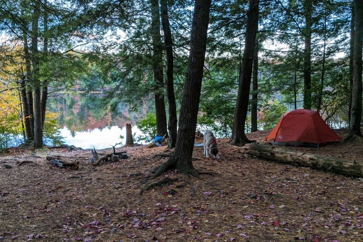 Loyalsock/Link Loop Backpacking Guide — Into the Backcountry