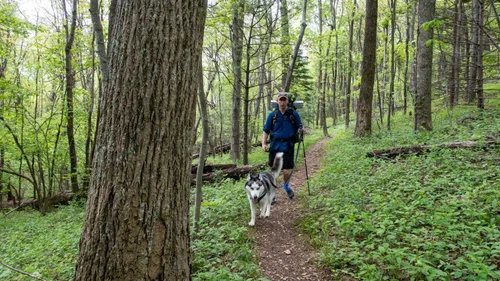 Three Ridges Loop Backpacking Guide — Into the Backcountry