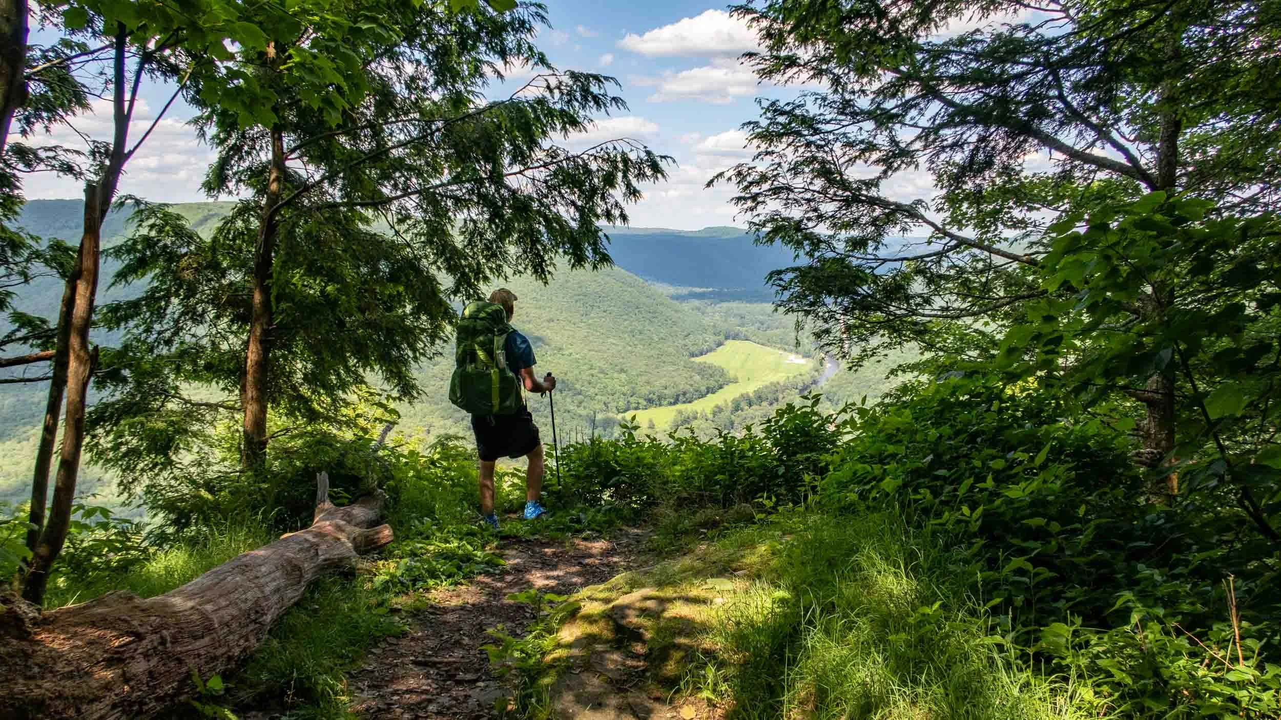 Loyalsock Trail Backpacking Guide — Into the Backcountry