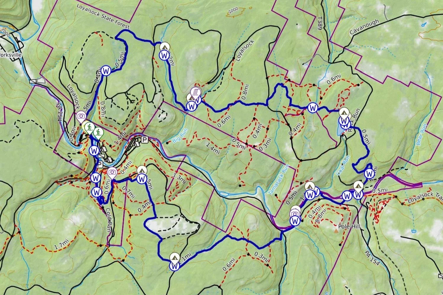 Loyalsock/Link Loop Backpacking Guide — Into the Backcountry