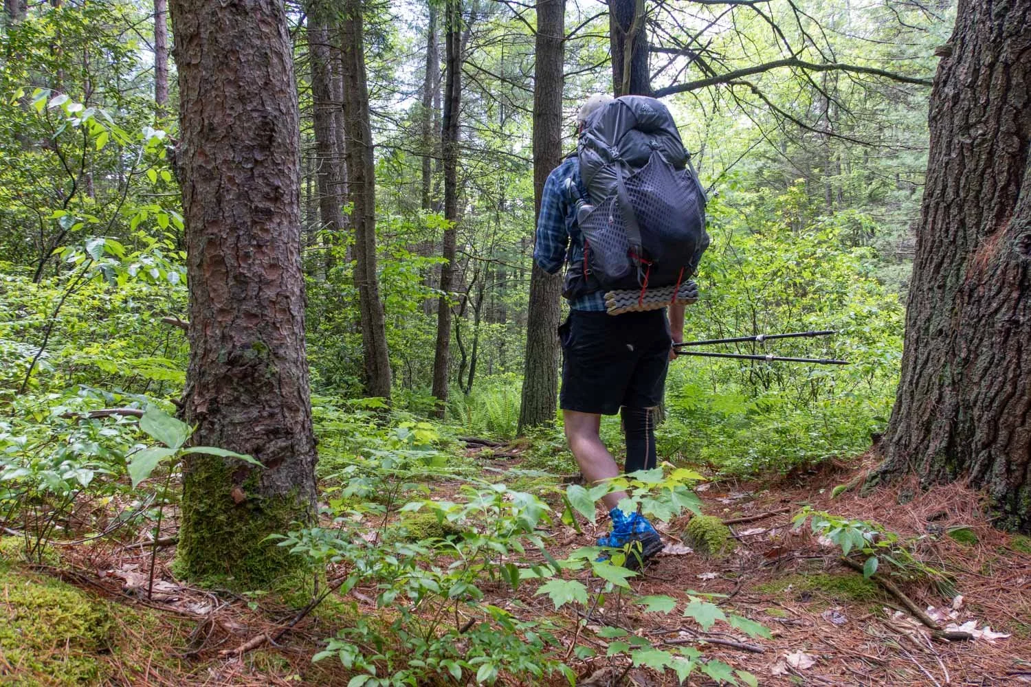 Backpacking The Black Forest Trail In Pine Creek – JYZXLK