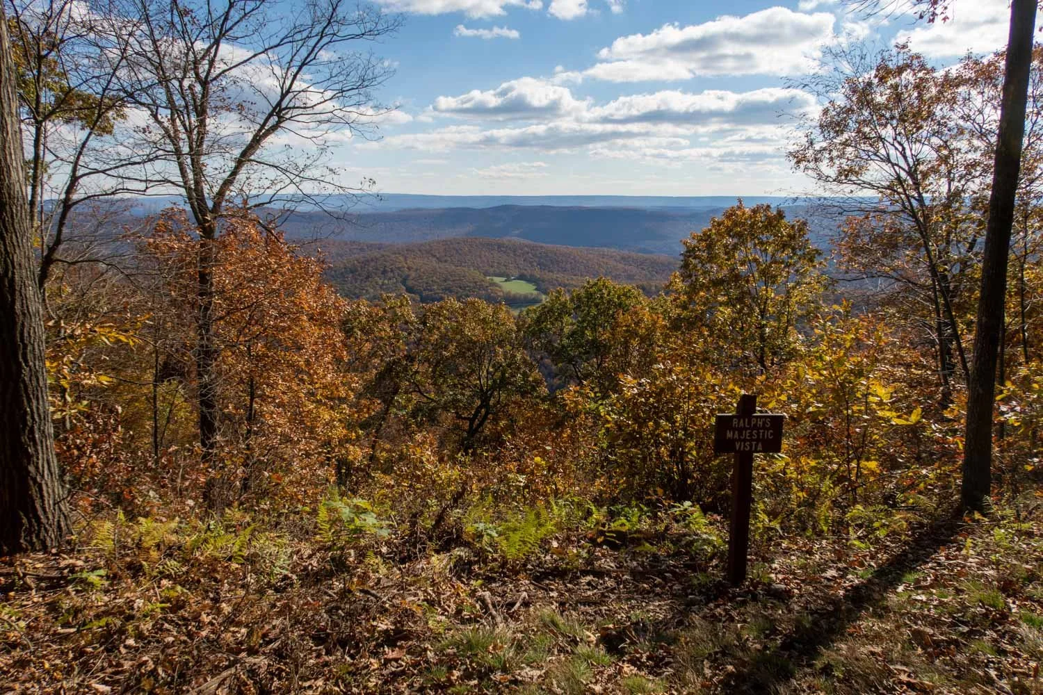 Allegheny Front Trail Backpacking Guide — Into the Backcountry