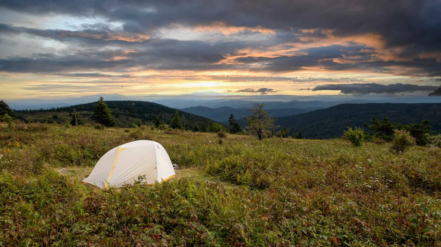 Mount Rogers/Grayson Highlands Loop Backpacking Guide — Into the ...