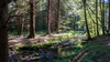 Susquehannock Trail System Backpacking Guide — Into the Backcountry