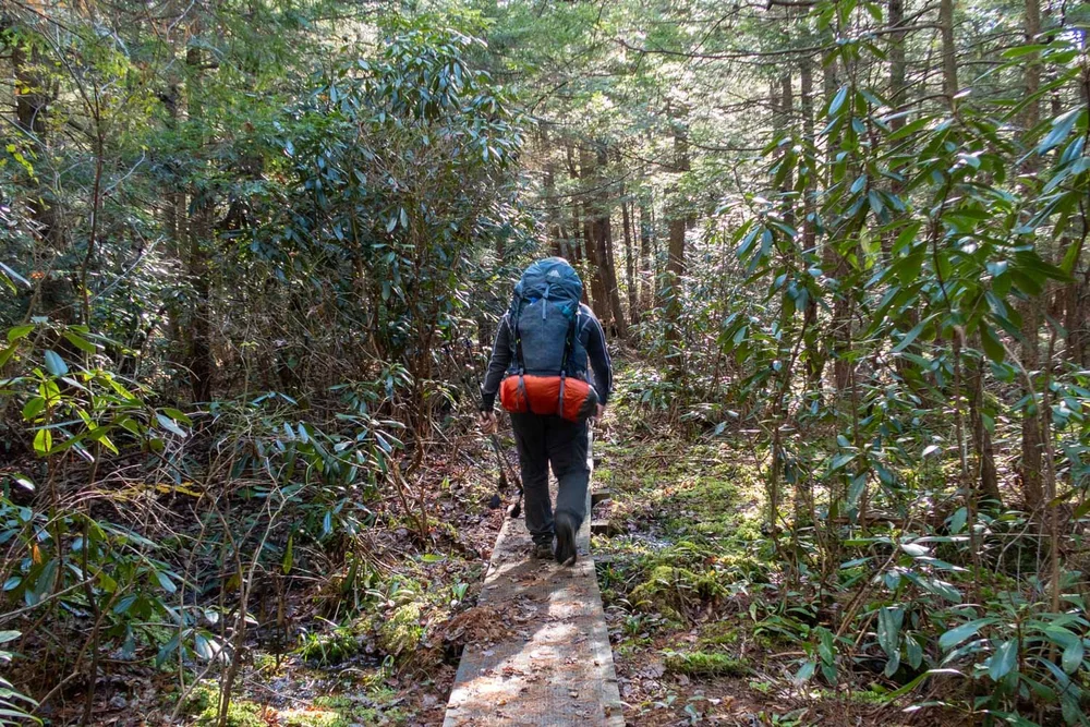 Allegheny Front Trail Backpacking Guide — Into the Backcountry