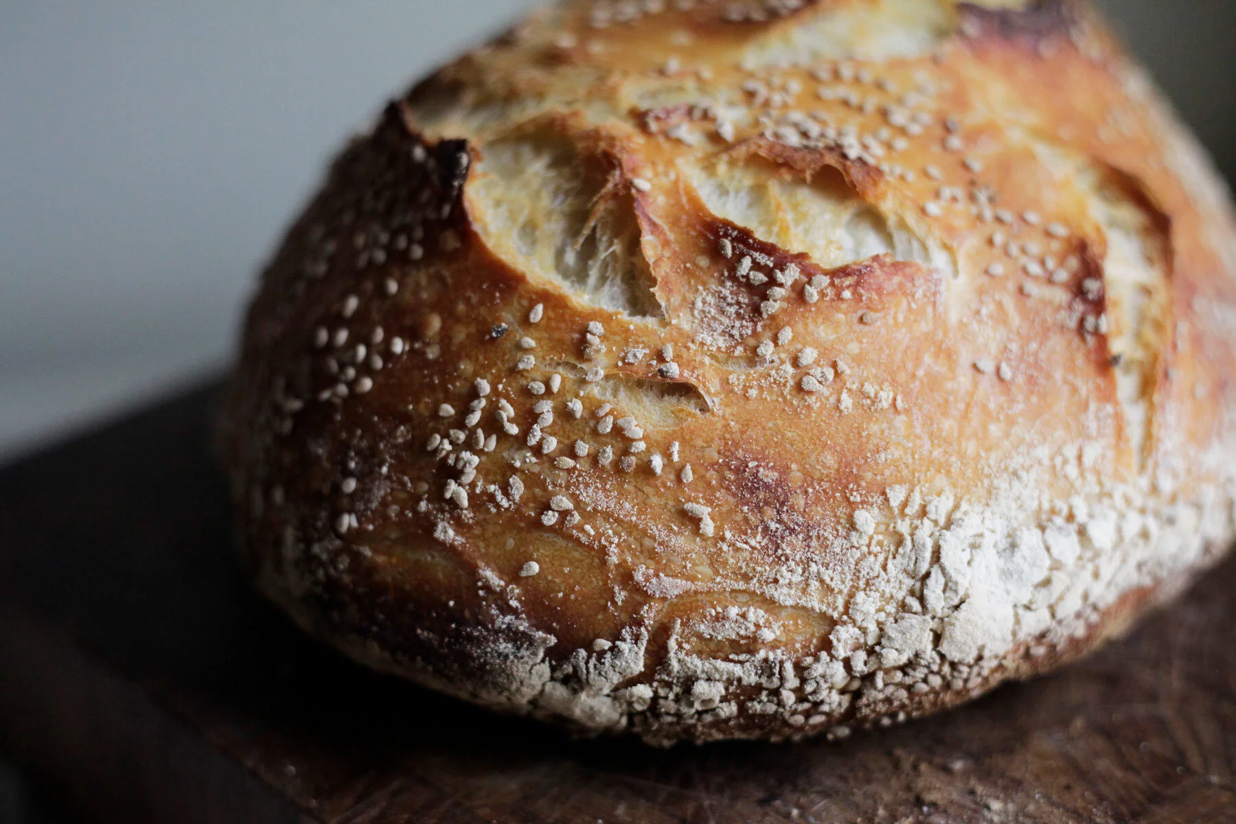 Seriously Simple No Knead Wild Fermented Sourdough Bread — Bea Rue Studios