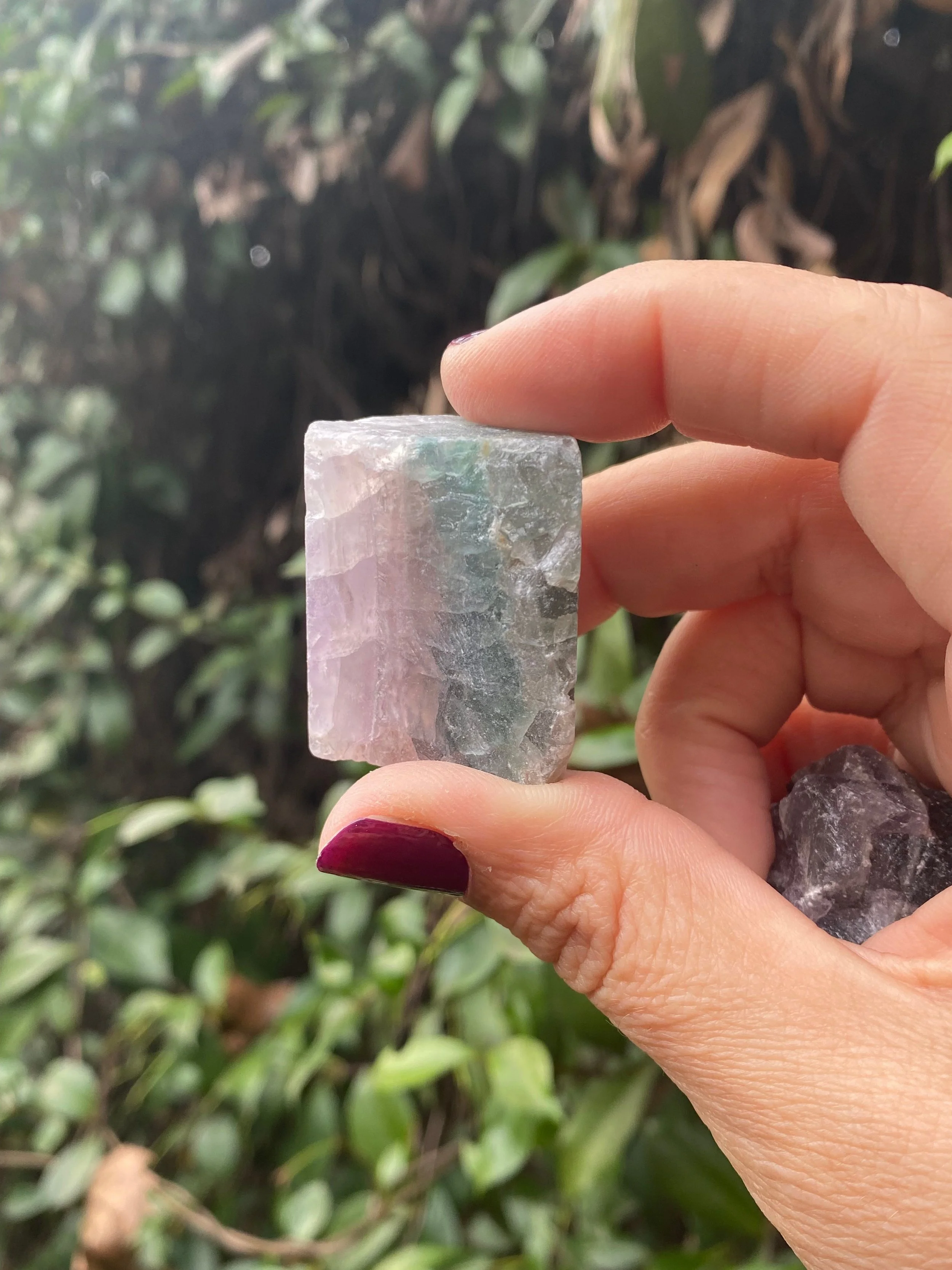 Natural Healing Gems -Girasol Opal (Milky Quartz) Raw Gemstones from ...