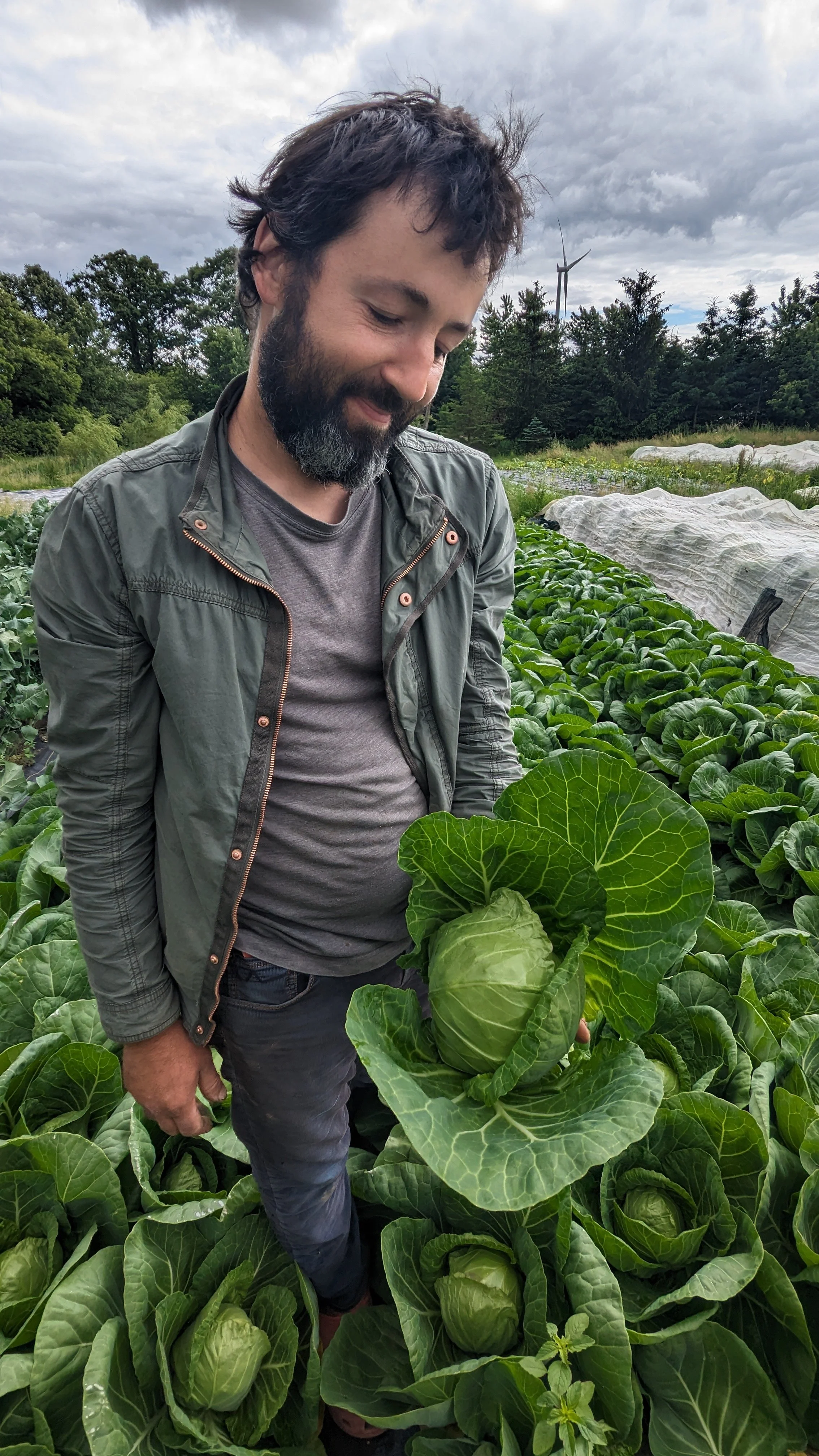 Mulberry Moon Farm — Farm Share & Vegetable Box Subscription | CSA Home ...