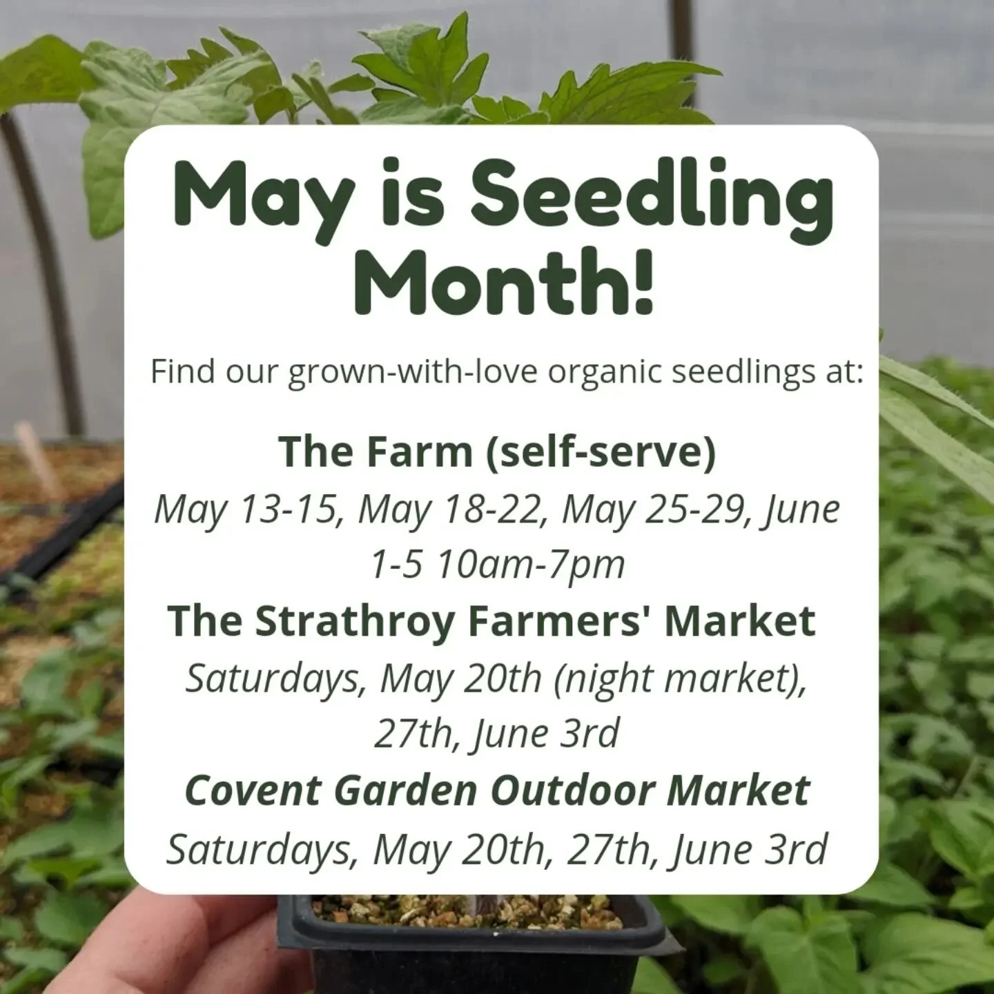 Mulberry Moon Farm — Photos