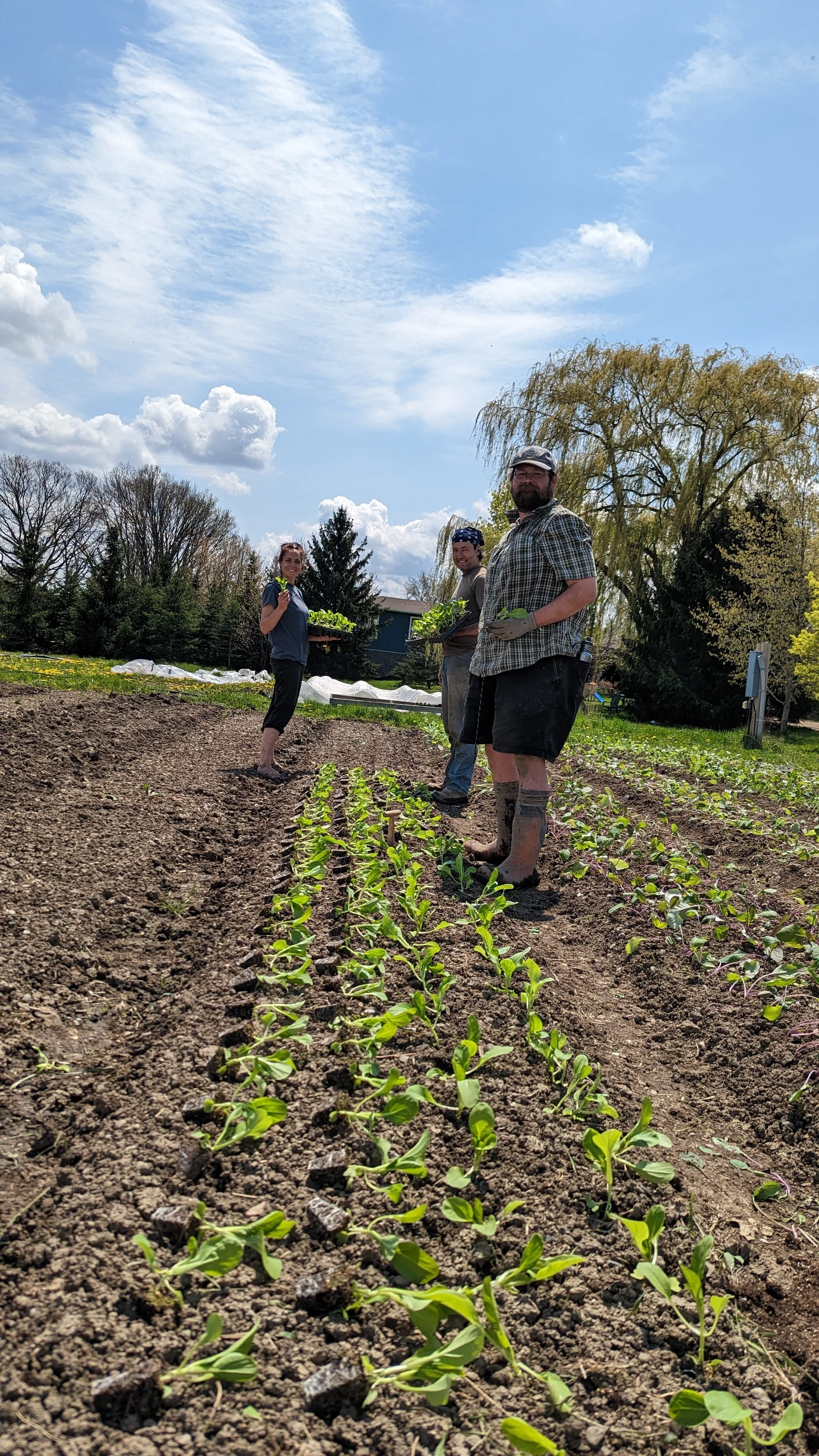 Mulberry Moon Farm — About Mulberry Moon Farm | Organic Farm & Local ...