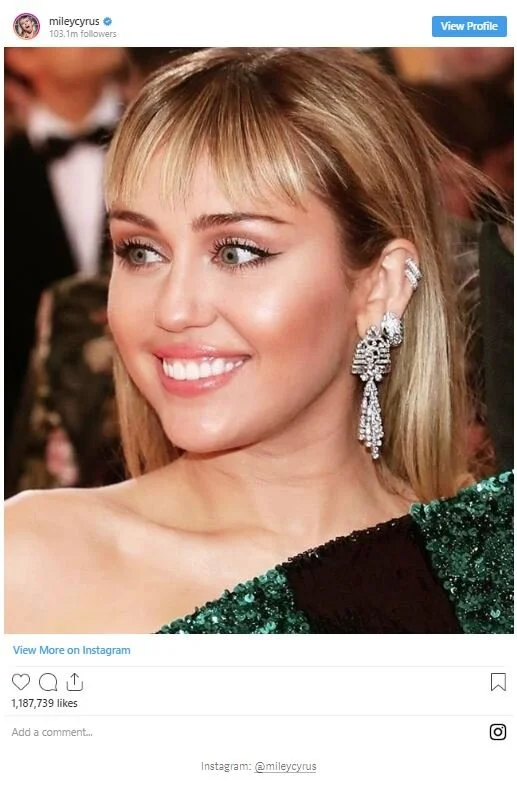 Miley Cyrus Ear Piercings