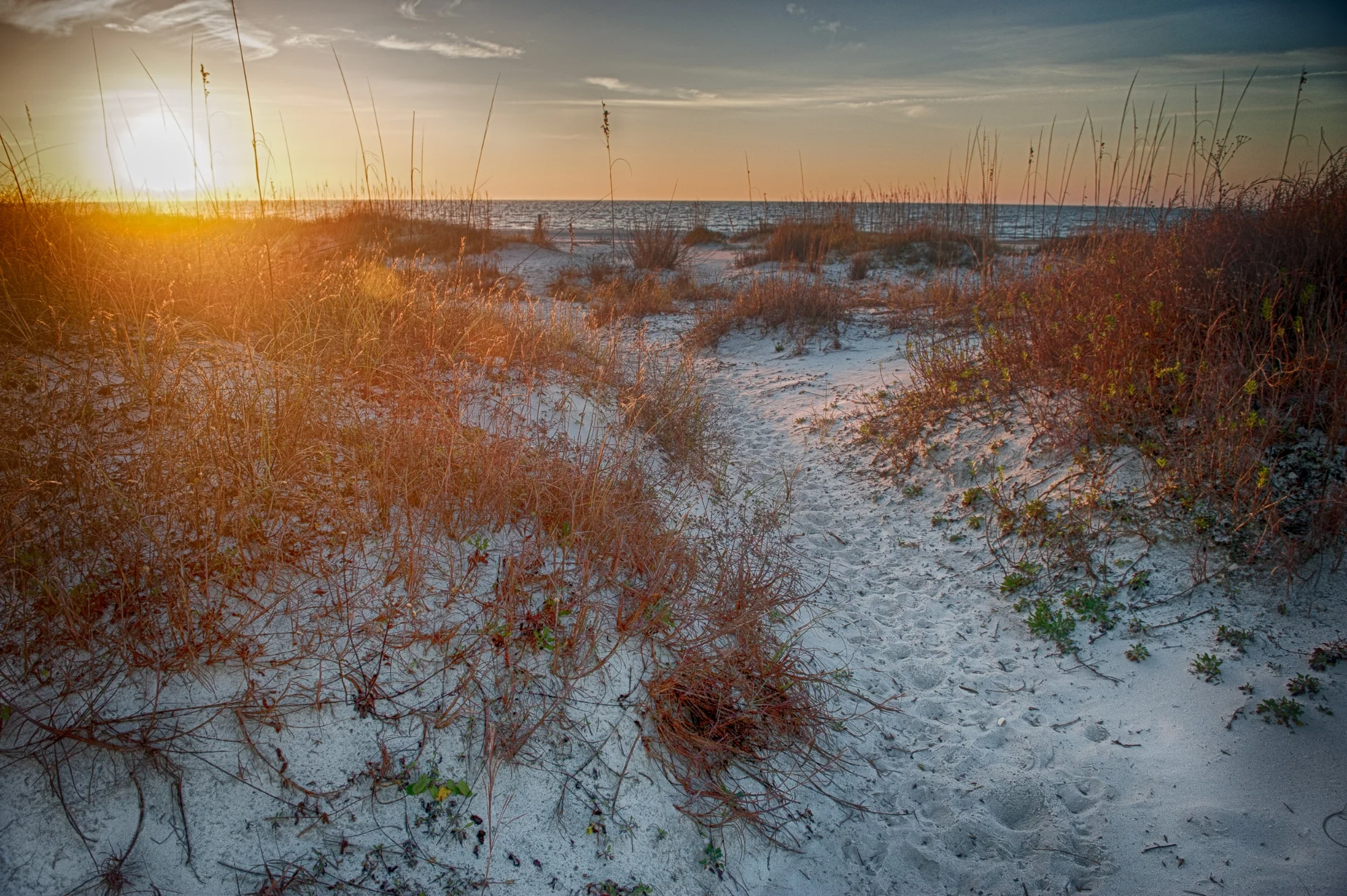 Beach Vacation Rental - Indian Pass, Florida - The Barnacle Beach House