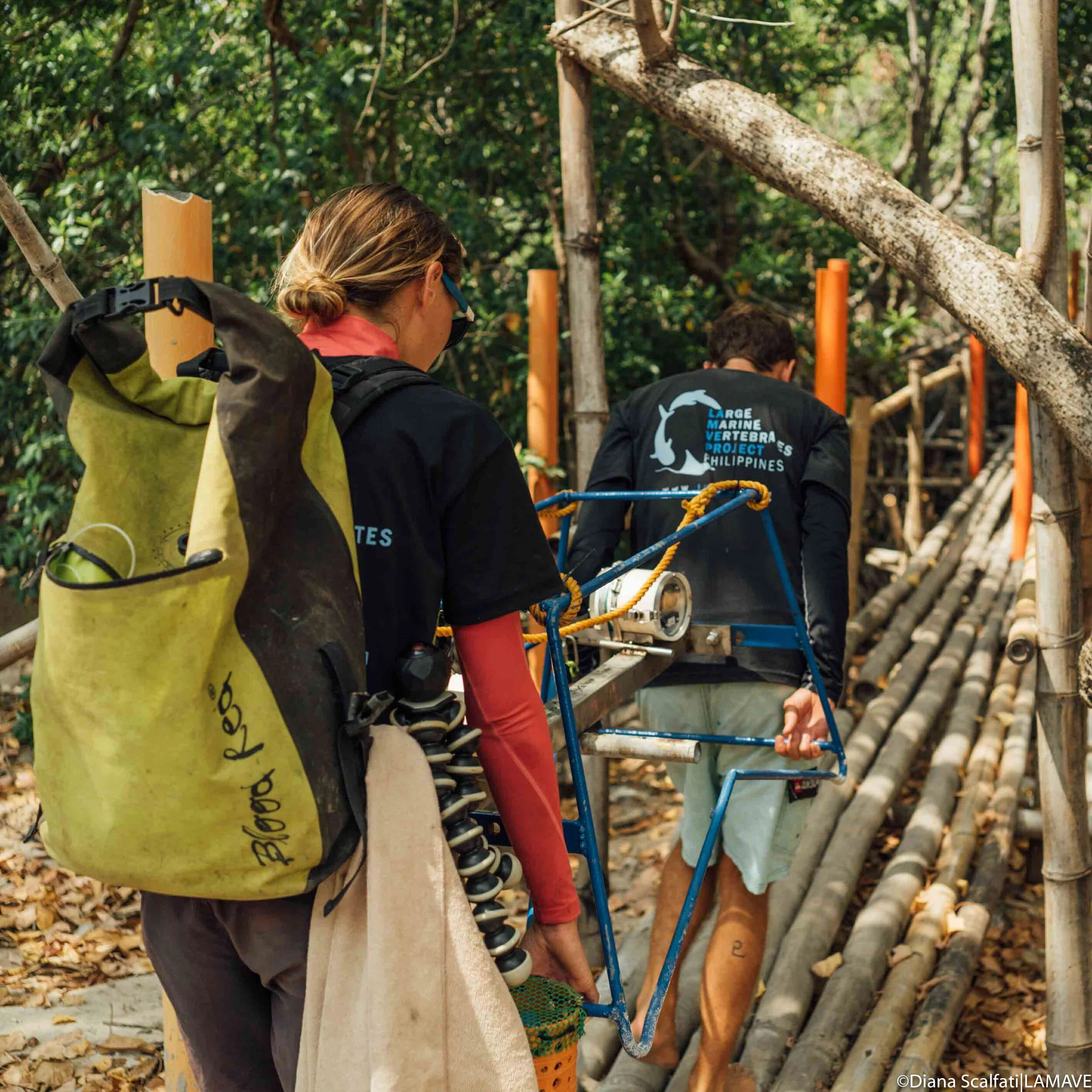 Want to contribute to marine conservation? Volunteer with LAMAVE ...