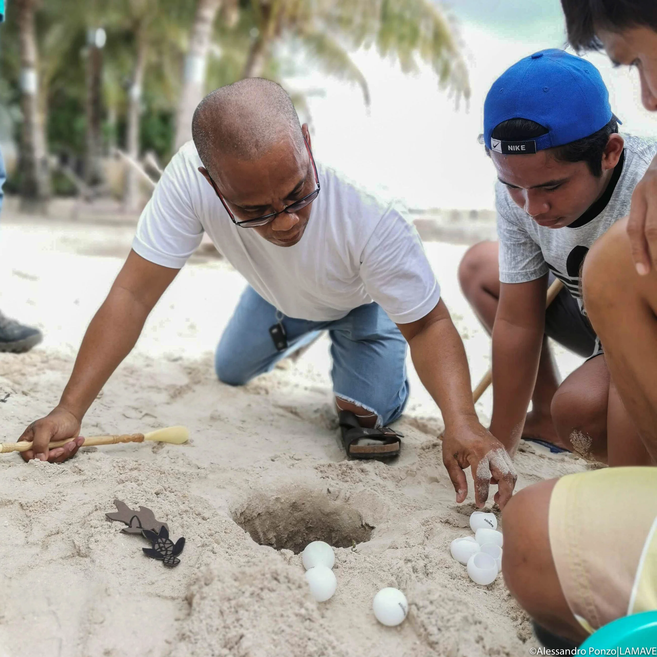 Preparing communities to respond to strandings of marine animals ...