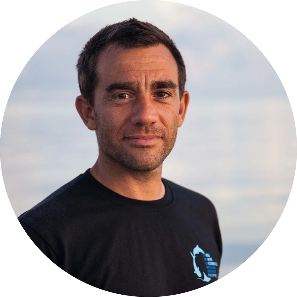 Dr Alessandro Ponzo LAMAVE Team Profile — Large Marine Vertebrates ...