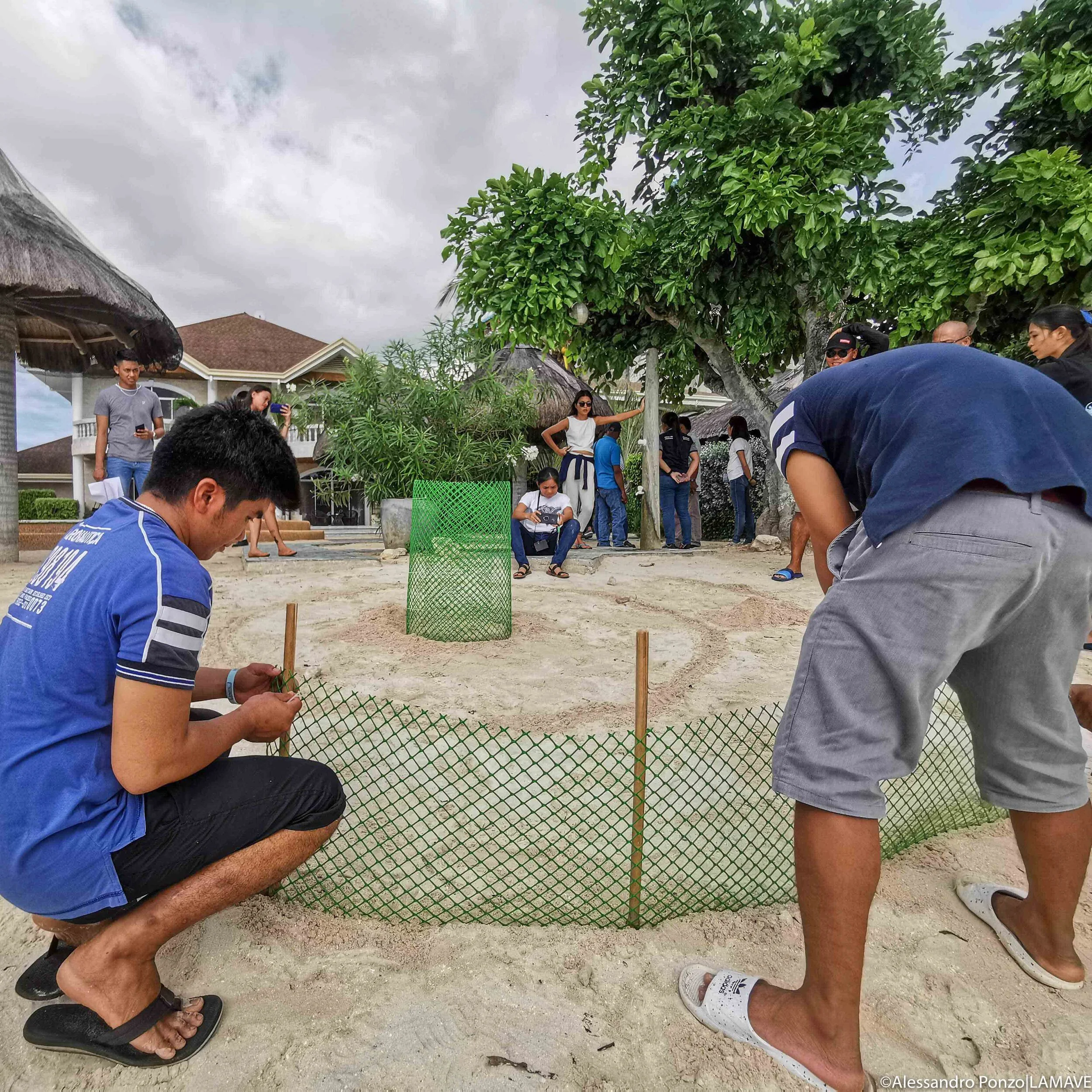 Turtle research and conservation project in the Philippines — Large ...
